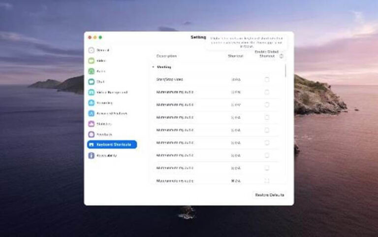 Zoom sigue apostando por la accesibilidad con nuevas características ...